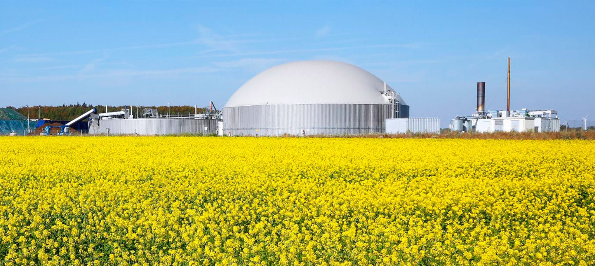 Know More About Us - About Us